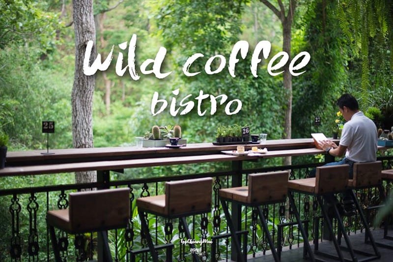 Wild coffee & bistro - Top Chiang Mai สุดยอด ที่เที่ยว ที่กิน ข้อมูล ...